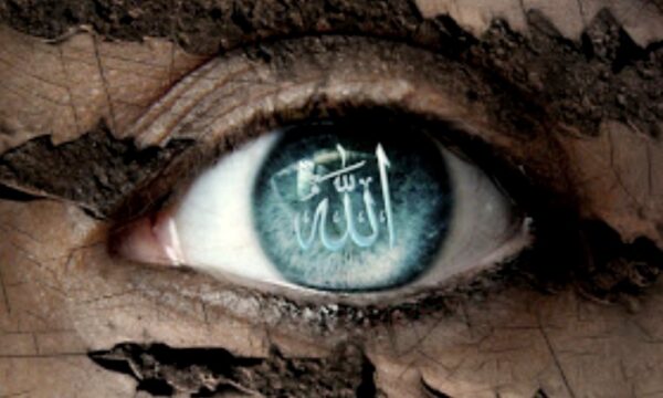 Ayat Alam Hayat dalam Studi Al-Qur’an – Alamtara Institute